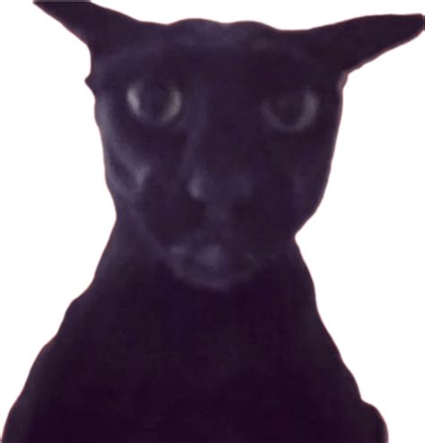 Evil Larry Sticker Evil Larry Larry Discover And Share S