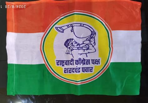 Election Flag All Political Party Flag Promotional Flag Manufacturer At