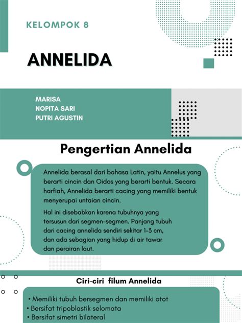 Annelida Pdf