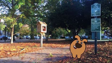 Daffodil 3 Daffodils Autumn Leaves Mickey Mouse