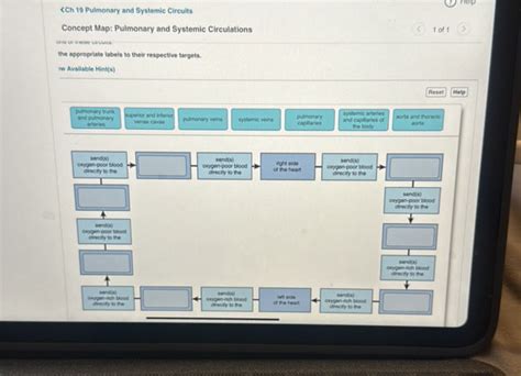 Concept Map Pulmonary And Systemic Studyx