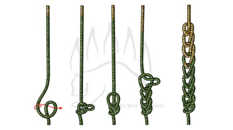 How To Tie The Daisy Chain Knot The Bear Essentials Outdoors Co