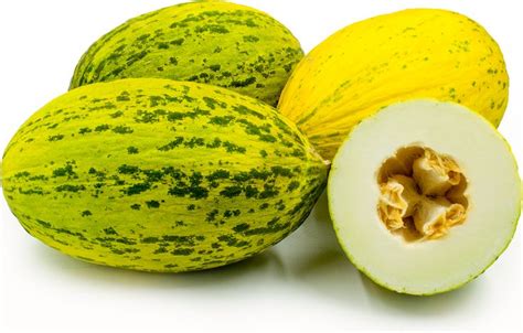 Santa Claus Melon Information Recipes And Facts