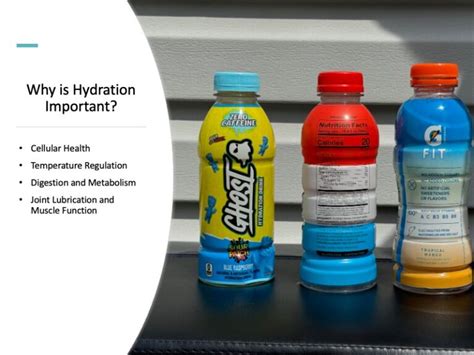 Hydration 101 The Ultimate Guide To Proper Hydration