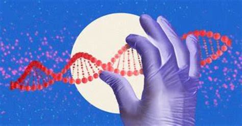 Why Genetic Methylation Test Matter For Your Health Journey