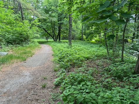 Bicycle Tour Otter River State Forest Day Five Conrad Halling