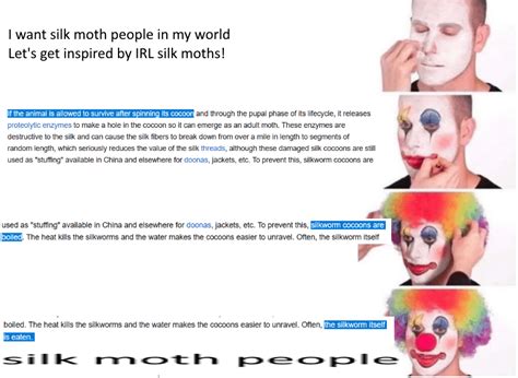 I Just Wanted Cute Moths Rworldjerking