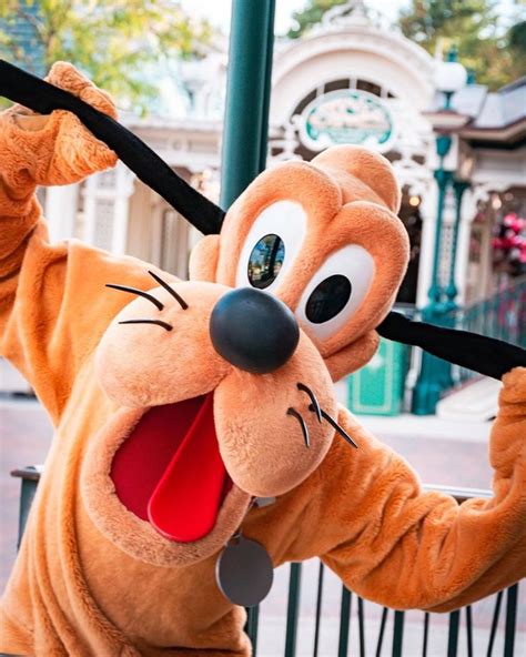 Pluto In Disneyland Paris Dlp Disneyland Paris Disneyland Disney Pictures
