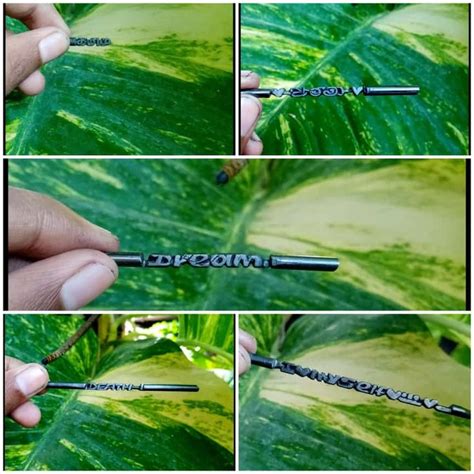 Ghim Trên Pencil Carving