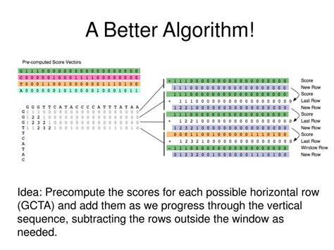 Ppt A Parallel High Performance Implementation Of The Dot Plot Algorithm Powerpoint