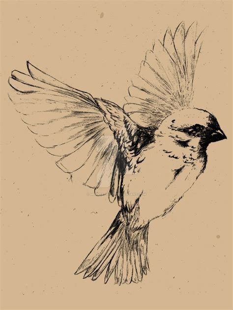 Bird By Mb Graphics On Deviantart