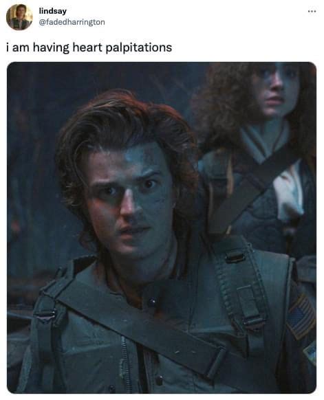 Pin By Whitney On Stranger Things Stranger Things Steve Stranger