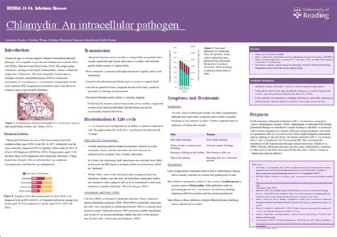 Chlamydia Poster Pdf Sexually Transmitted Infection Infection