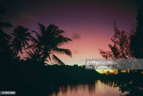Pohnpei Micronesia Photos And Premium High Res Pictures Getty Images