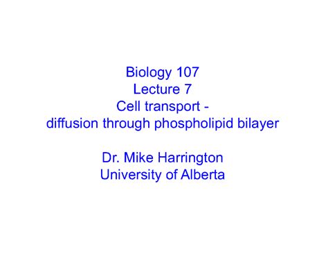 Biology 107 Lecture 7 Cell Transport And Diffusion In Phospholipid