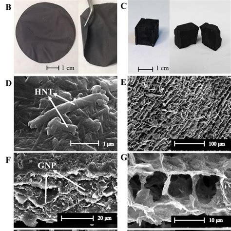 Schematic Representation Of Particle Assembly In The Multicomponent