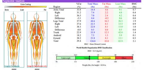 Dxa Scan The Gold Standard Of Body Composition