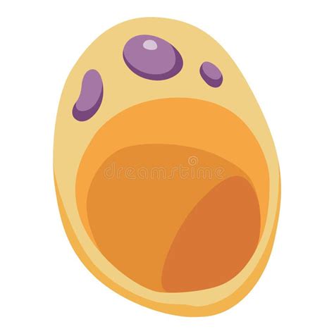 Human Cell Type Icon Medicine And Biology Illustrative Symbol Health Anatomy And Science