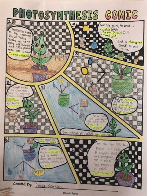 Photosynthesis Activity Photosynthesis Comic Strip Activity Cut Paste