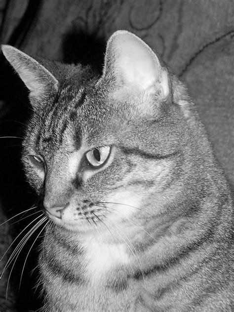 Minerva By Kristinnnn Sex On Deviantart