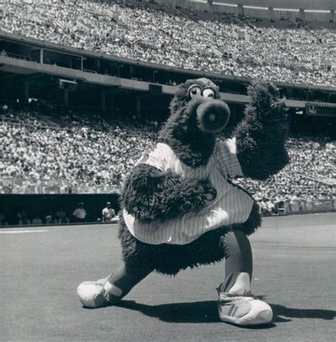 Phanatic Major League Baseball Major League Baseball Teams Baseball