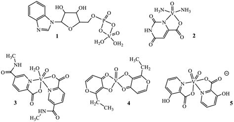 Some Vanadium Coordination Compounds That Have Been Shown To Counteract