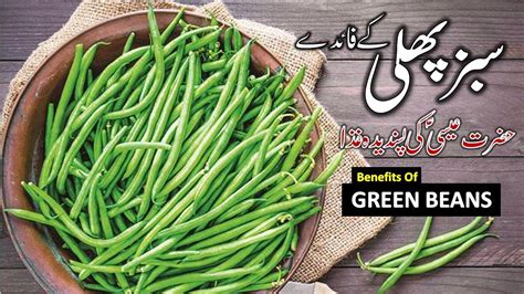 Phali سبز پھلی Ke Fayde Green Beans Tibe Ahlebait Part 205 Maulana Syed Ali Naqi Kazmi