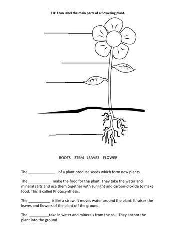 Printable Learning