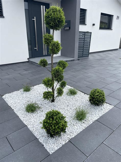 Fotoblog Užívateľky Kastrati Modrastrechask