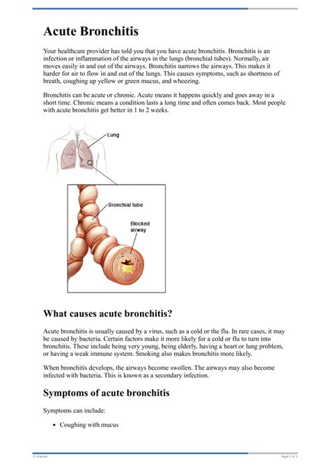 Acute Bronchitis Nursing