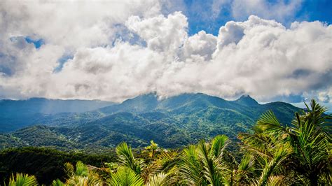 El Yunque Rainforest Lodging
