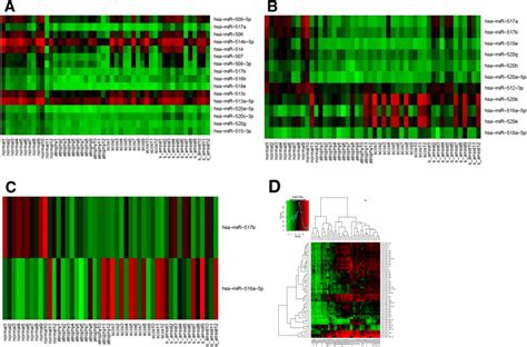 Microrna Expression Profiles In Human Testicular Tissues Of Infertile