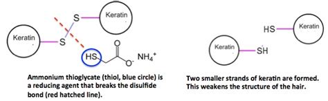 What Do Perm Chemicals And Cystic Fibrosis Drugs Have In Common Acsh