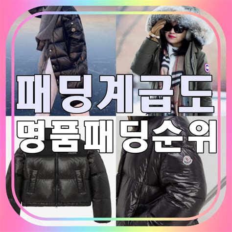 명품 패딩 브랜드 순위 계급도 롱 패딩몽클레어 캐나다구스 스톤아일랜드 무스너클 네이버 블로그