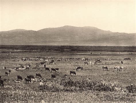Around The Lake And The Galilee — 19th Century Holy Land Pilgrimage