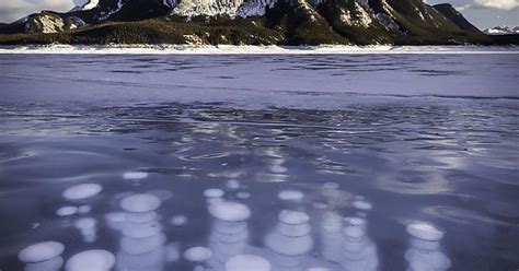 These Frozen Bubbles Of Methane Made An Eerie Form Of Natural Art In