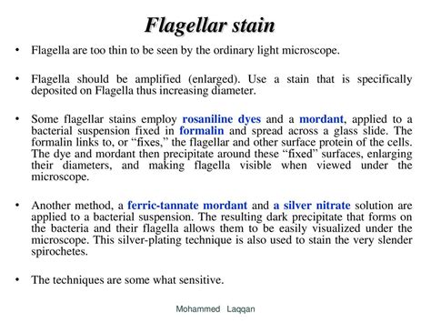 Flagella Stain Procedure