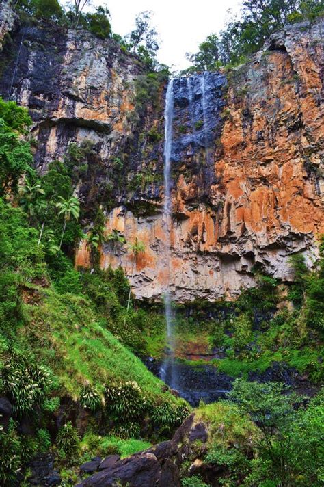 Purling Brook Falls Springbrook National Park Stock Image Image Of