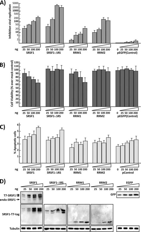 Srsf1 Rna Recognition Motifs Are Strong Inhibitors Of Hiv 1 Replication Pmc