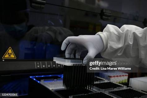 224 Lisa Singh Photos And High Res Pictures Getty Images