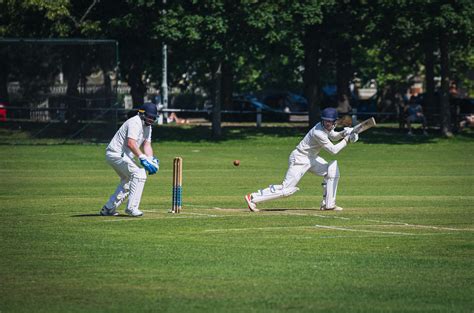Cricket Bat Images Photos Download The Best Free Cricket Bat Images