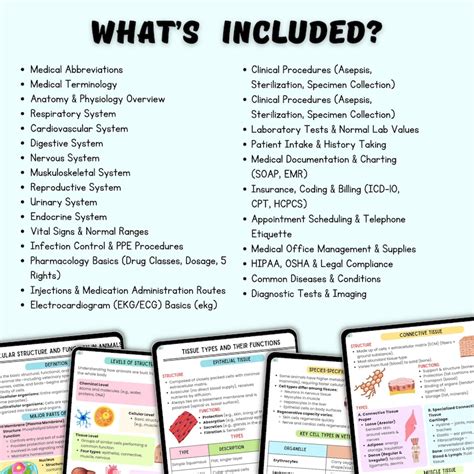 Medical Assistant Notes And Cheat Sheet Bundle Nursing Notes Digital