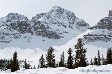 Ski Or Snowshoe Peyto Lake Lookout Or Bow Summit In Winter Banffandbeyond
