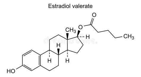 Chemical Structure Of Estradiol Valerate Drug Substance Stock
