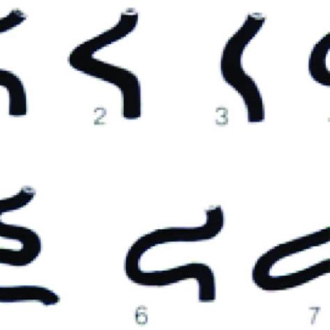 Yasargil Classification Download Table