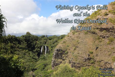 Visiting Opaekaa Falls And The Wailua River Overlook In Kauai Savor The Moment Photography