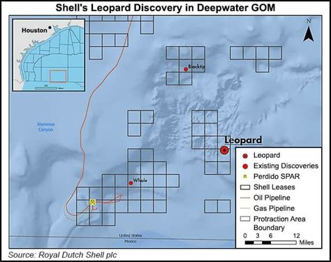 Perdidos Plethora Of Gom Deepwater Discoveries Continues With Leopard Says Shell
