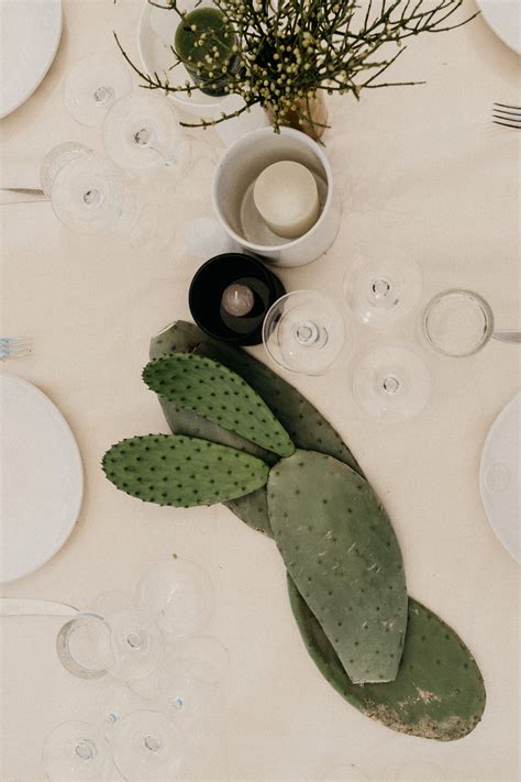 [elmalize And Stephan] — Kraak