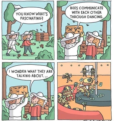 Shake That Booty Meme By Nicky Ta Memedroid