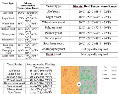 Beer Fermentation Time Chart